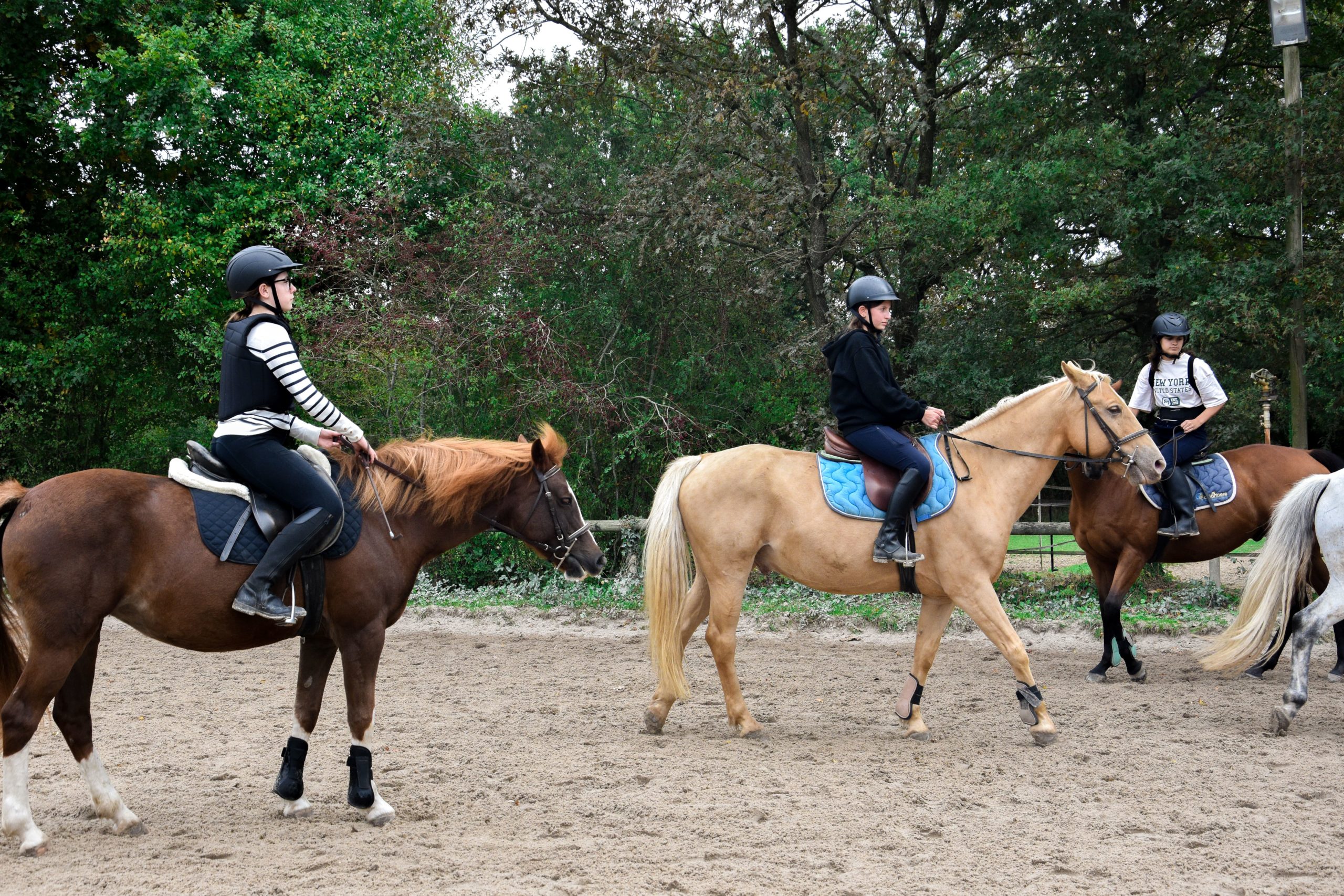 Balade d’initiation en groupe - La Vaillantière - club d'équitation à ...